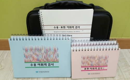 수용 표현 어휘력 검사 (REVT) : 네이버 블로그