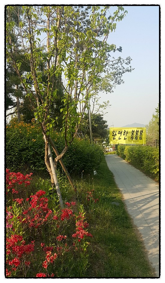 전자담배 액상 파이의 알포 액상을 숙대역점에서 소개합니다 네이버 블로그