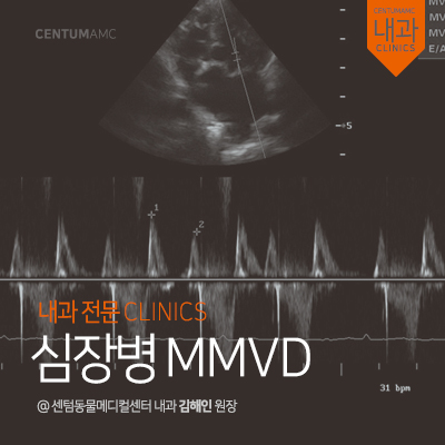 [심장전문진료] 강아지 심장병 MMVD (부산 동물병원) : 네이버 블로그