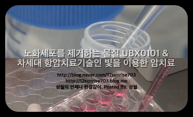 노화세포를 제거하는 물질 UBX0101 & 차세대 항암치료기술인 빛을 이용한 암치료 - [건강 관리 상식 391] : 네이버 블로그