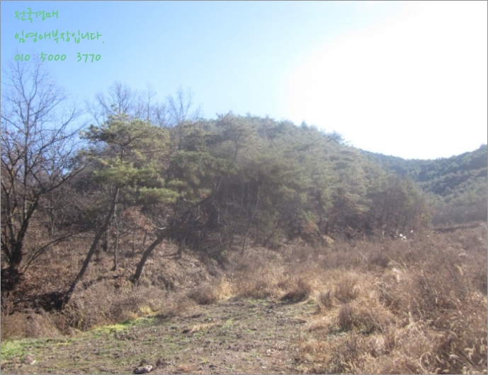 2016타경1736 경북 의성군 의성읍 상리리 산120 2 네이버 블로그