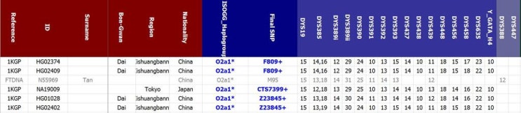 Geno 2.0 N112855 Tan O2a1-CTS7399 : 네이버 블로그