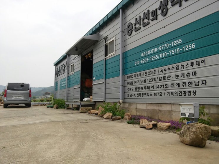 오늘과업사진보기농산물판매산나물수리취곤드레나물예약판매 황옥수수 찰옥수수알곡판매옥수수속대옥수수수염파는곳 원기둥형돌담쌓기공사
