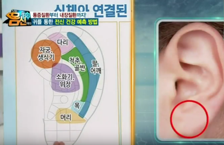 식욕억제추천법 손자극만으로 식욕억제되는혈자리 네이버 블로그