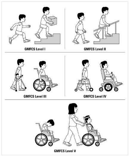 GMFCS (Gross Mator Function Classification System) : 네이버 블로그