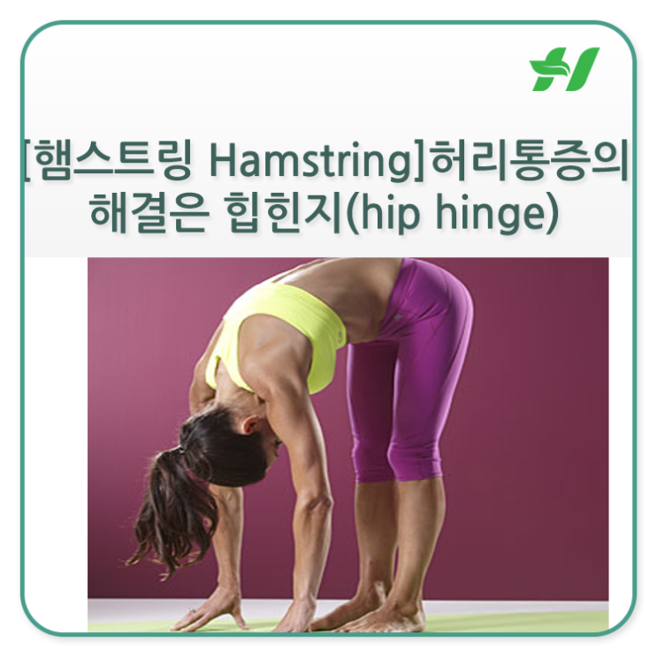 [햄스트링 Hamstring] 허리통증의 해결은 힙힌지(hip hinge) : 네이버 블로그