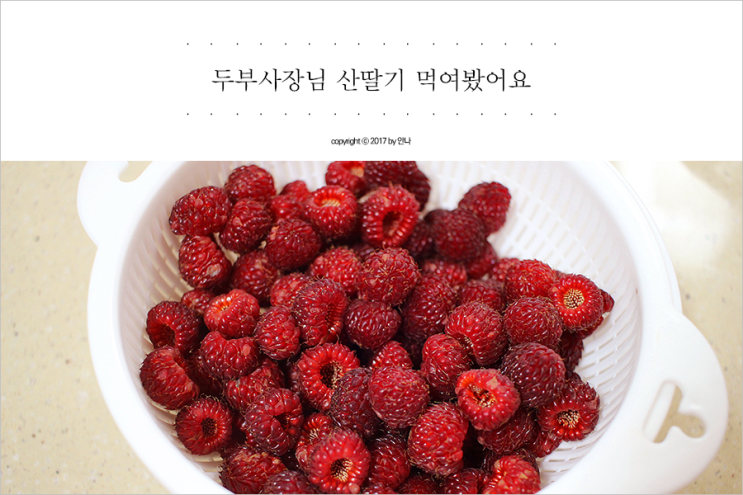 아기 산딸기 먹였어요 W 효능 및 세척 네이버 블로그