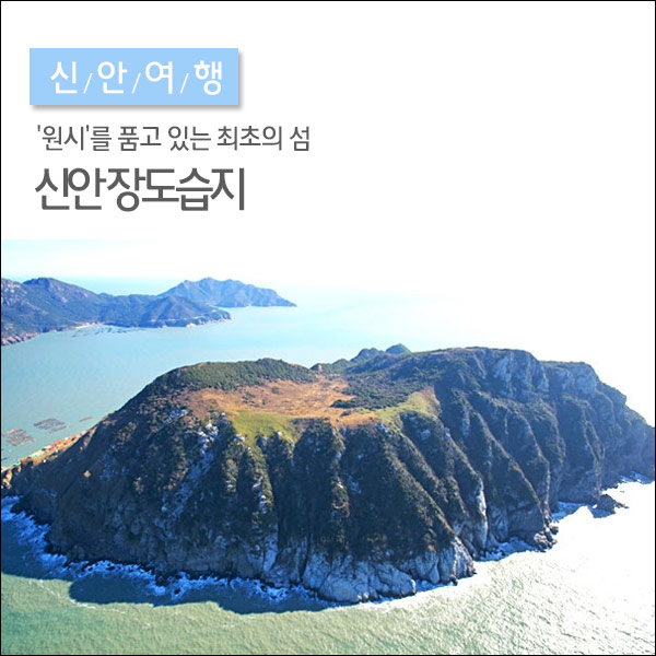 '원시'를 품고있는 최초의 '섬 장도습지' : 네이버 블로그