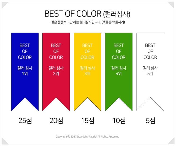 TICA 캣쇼 타이틀 : 너무나 쉽게 이해할 수 있어요♥ : 네이버 블로그