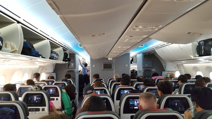 미국 동부 여행) 아메리칸항공 인천-댈러스(AA280/AA281)+국내선(보스턴, 워싱턴) 탑승기, 댈러스 공항 환승(DFW ...