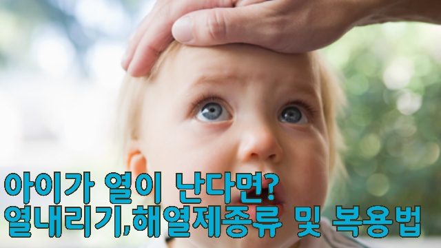 아기 열내리기 신생아 해열제 종류 챔프시럽 후기 네이버 블로그