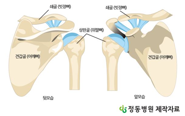 [상도역 정형외과] 관절와순파열 SLAP병변 BANKART병변 : 네이버 블로그