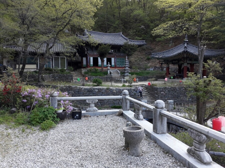 5월 22일 월요일 : 네이버 블로그