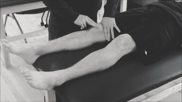 [Knee Special Test] Ballotable patella (patellar tap test) : 네이버 블로그