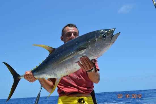 내가 모리셔스에 가야하는이유(3)-big game fishing 빅 게임 피싱 : 네이버 블로그