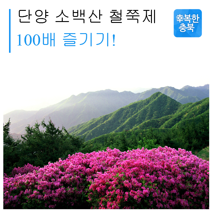 2017 단양 소백산 철쭉제 100배 즐기기~ 네이버 블로그