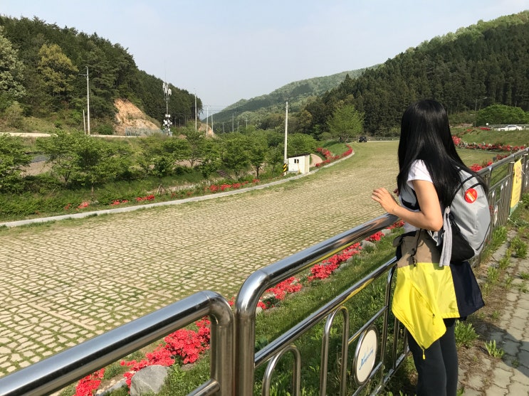 전라남도 장성 축령산 편백나무숲 트레킹 코스 도착점금곡영화마을 강릉댁 테마펜션민박집국내 당일치기 가족여행 네이버 블로그