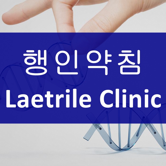 행인약침(아미그달린, laetrile, B17)의 전립선암세포에 대한 효과 : 네이버 블로그