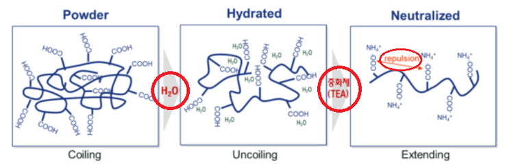 카보머 점증의 원리(Carbomer, Acrylates/C10-30 Alkyl Acrylate Crosspolymer ...