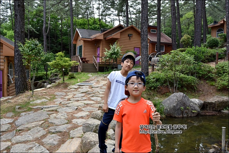 전남 광양 가볼만한곳 백운산자연휴양림에서 숲속의집 힐링 네이버 블로그
