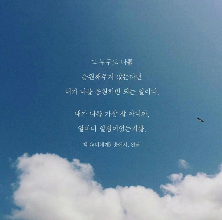 완글 하태완위로가 되는 글 삶이 힘들 때 지쳤을 때 위로가 되는 글 감성 글귀 모음 네이버 블로그