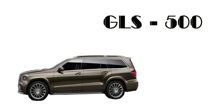 GLS 500 : 네이버 블로그