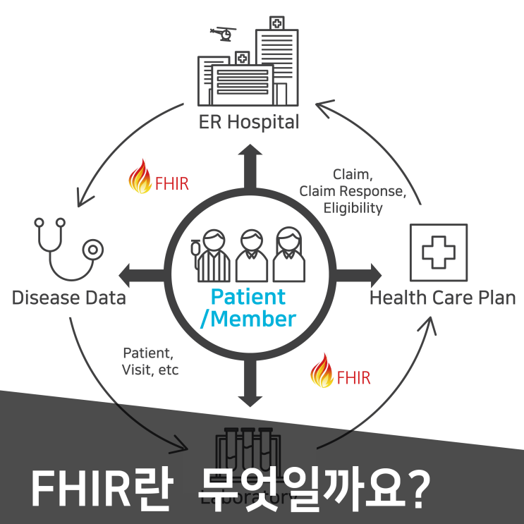 FHIR(Fast Healthcare Interoperability Resources)란? : 네이버 블로그