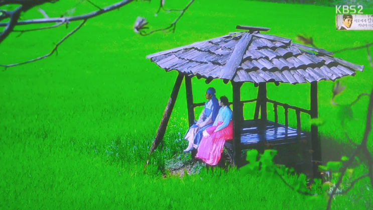 KBS2드라마 "7일의 왕비" 유채꽃밭, 청보리밭 속 원두막 : 네이버 블로그