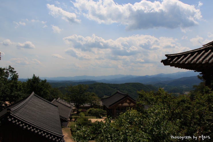 영주 부석사 무량수전 배흘림기둥에 기대서서 네이버 블로그