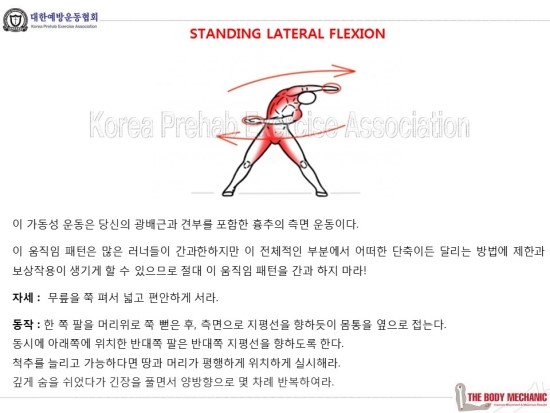 STANDING LATERAL FLEXION : 네이버 블로그