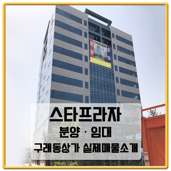 구래동상가 스타프라자 푸르지오3차 앞 상가 실제매물 추천해드립니다 구래역부동산 구래동부동산 김포부동산 네이버 블로그