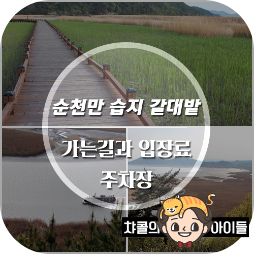 순천만 습지 갈대밭 가는길과 입장료 및 주차장 네이버 블로그