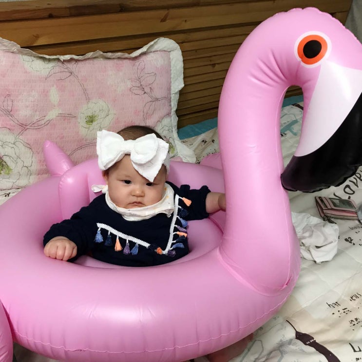 보행기튜브 / 플라밍고튜브 : 네이버 블로그