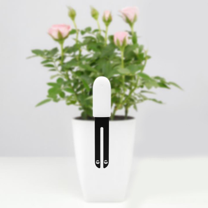 샤오미(Xiaomi) - Mi flora plant sensor(花花草草, 스마트 화분 관리기) : 네이버 블로그