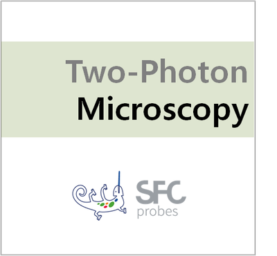 Two-Photon Microscopy : 네이버 블로그
