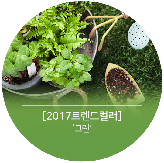 2017 팬톤이 선정한 트렌드 컬러 그리너리 네이버 블로그