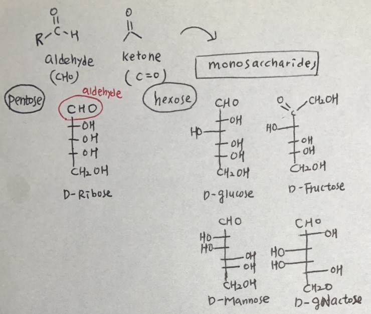 구조식 익히기 요령: Glucose, hexose, monosaccharides : 네이버 블로그