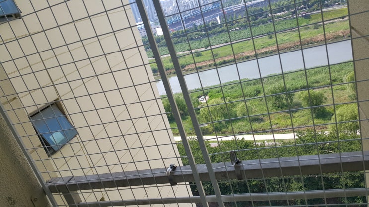 서울 영등포 양평동 대우미래사랑 비둘기퇴치작전~ 네이버 블로그