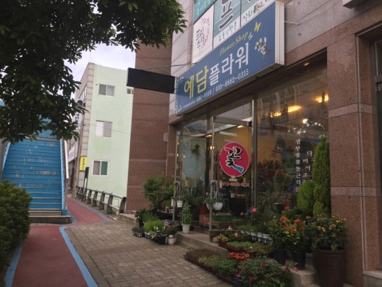 여수꽃집자주다니는 예담플라워 추천해드려요 네이버 블로그
