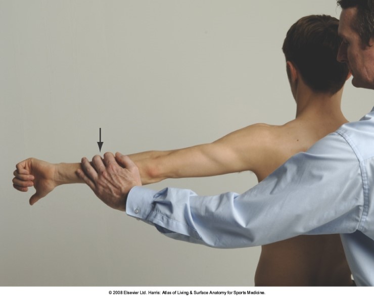 Empty can test(캔 비우기 검사), Full can test(캔 채우기 검사) : 네이버 블로그