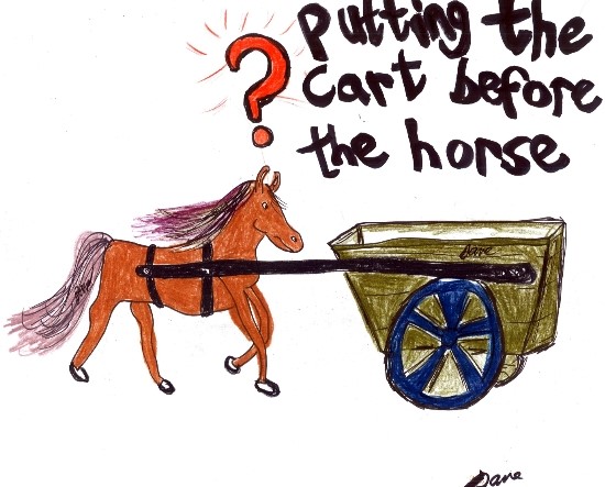 "Putting the cart before the horse" : 네이버 블로그