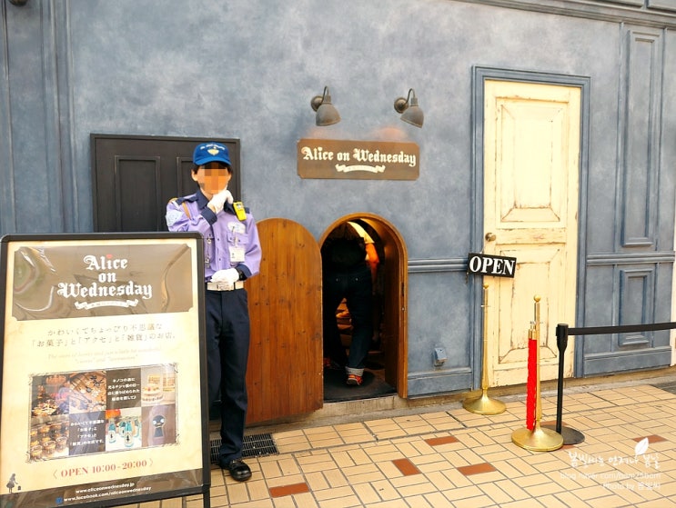 일본 나고야 앨리스샵, 오스시장 Alice on Wednesday : 네이버 블로그