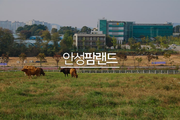 [안성여행] 안성 팜랜드(안성 가볼만한곳) : 네이버 블로그