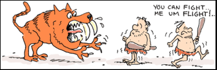만성피로증후군을 파해쳐보자 만성피로부신기능 저하증의 단계별 특징1단계 경계기alarm Reaction 에너지 대사가