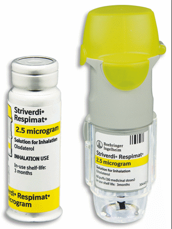Long-acting beta2 agonist(LABA) inhaler, 스트리버디, 온브리즈, 포라딜, 세레벤트 /COPD ...