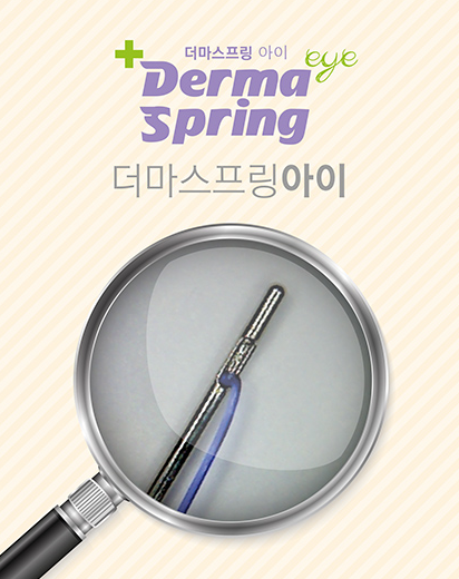 Derma Spring EYE/더마스프링아이판매/더마스프링아이/더마스프링/눈가전용시술/눈가시술용실/녹는실/리프팅실/실리프팅 ...