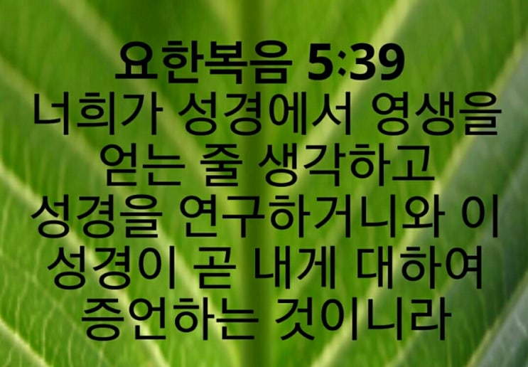 요5:39너희가 성경에서 영생을 얻는 줄 생각하고 성경을 연구하거니와 이 성경이 곧 내게 대하여 증언하는 것이니라 : 네이버 블로그