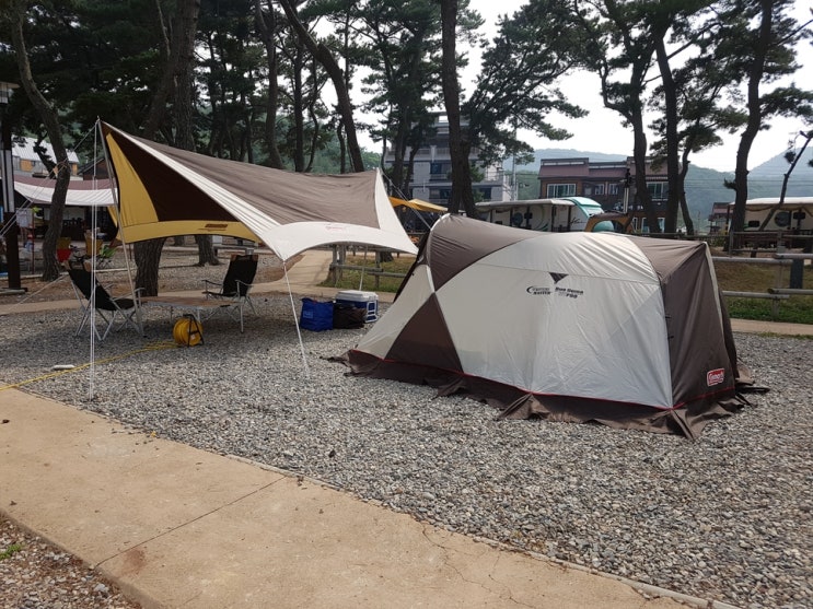 경주 오류캠핑장 예약 방법 및 방문기 : 네이버 블로그