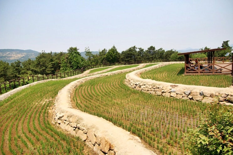 이천 가볼만한곳 농업테마공원 체험프로그램and즐길거리 네이버 블로그