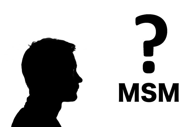 MSM이란?_MSM을 왜 먹어야 할까?_MSM의 궁금증_MSM 효능 1 : 네이버 블로그